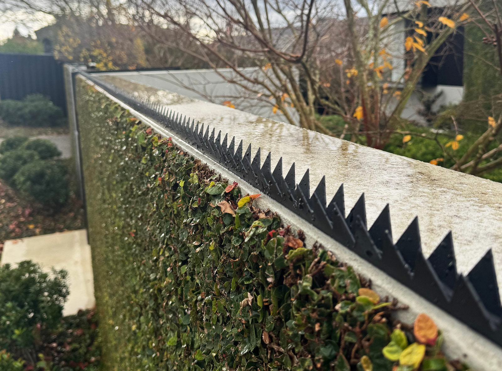 Babyshark (Pest deterrent) – Sharkguard Fence Top Security